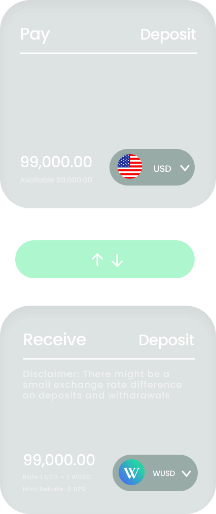 Building Worldwide Stablecoin Payment Network.